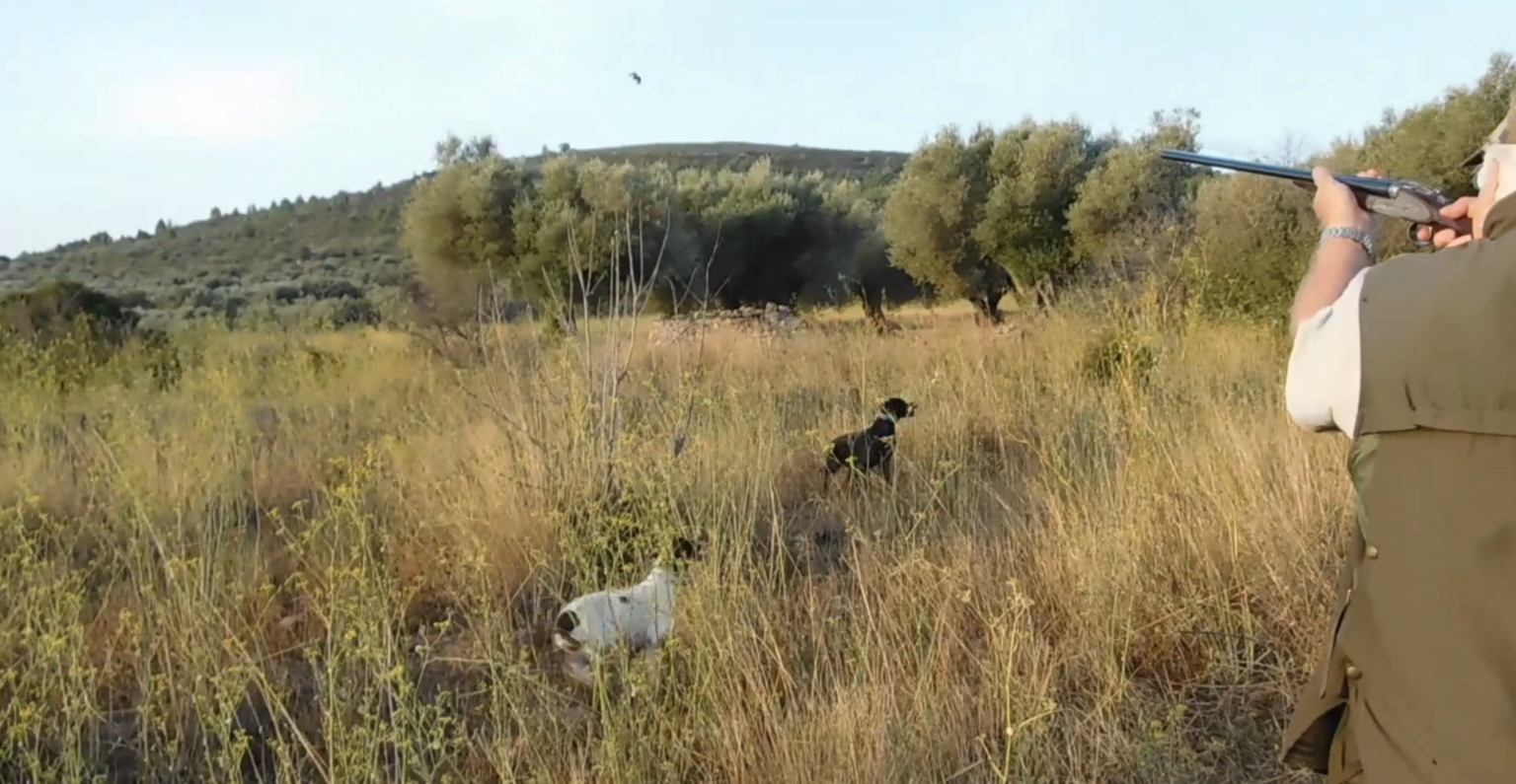 Chasse en Espagne : Spainhunt ⋆ ChasseTube.fr